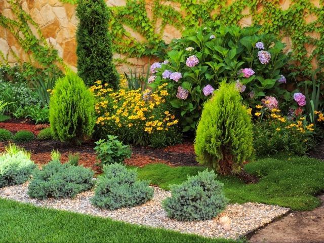 Water-wise gardening: 14 indigenous plants you can grow - Garden ...