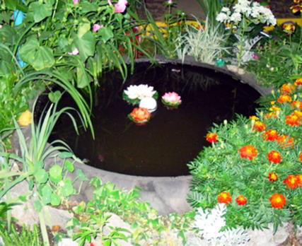 DIY: Turn an old tyre into a tranquil pond in 6 easy steps - Garden ...