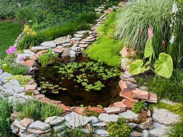 DIY: Turn an old tyre into a tranquil pond in 6 easy steps - Garden ...