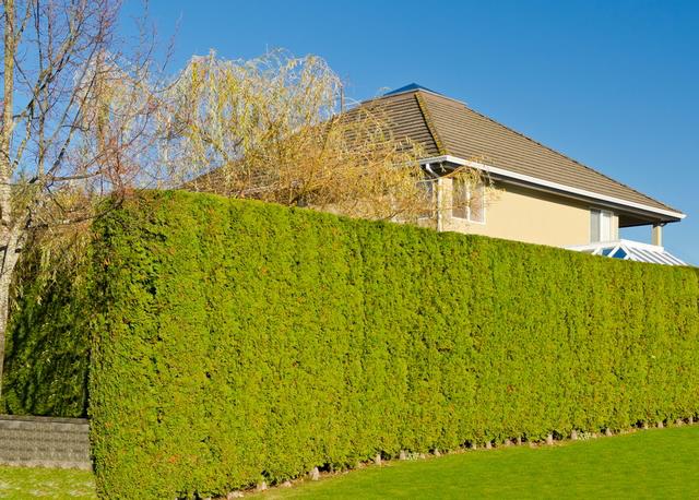 5 outdoor privacy screen ideas you’ll love - Garden & Outdoor, Lifestyle