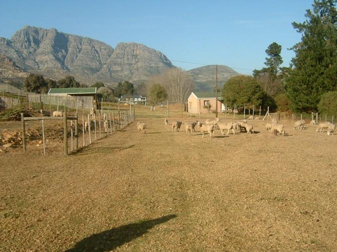 Farm for Sale in George Rural