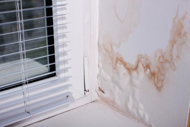 7 signs that there might be problems with your home’s foundation ...