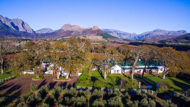 Fancy owning a boutique wine farm in the Western Cape? - Leisure, News