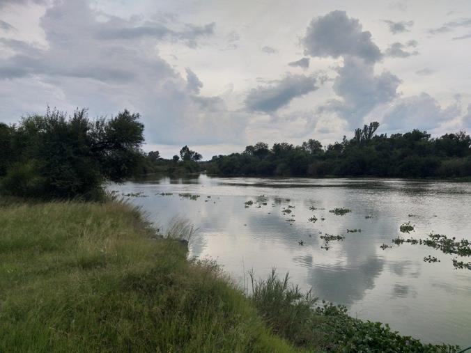 Farm for Sale in Bothaville