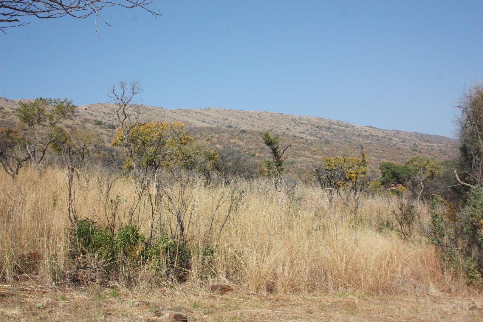 Vacant land / plot for sale in Zandfontein AH - P24-109019380