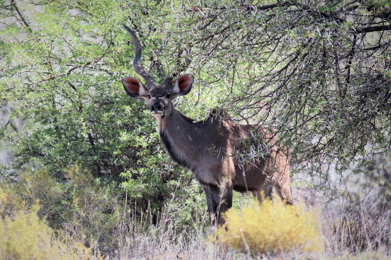 Farms for sale in Prince Albert : Prince Albert Property : Property24.com