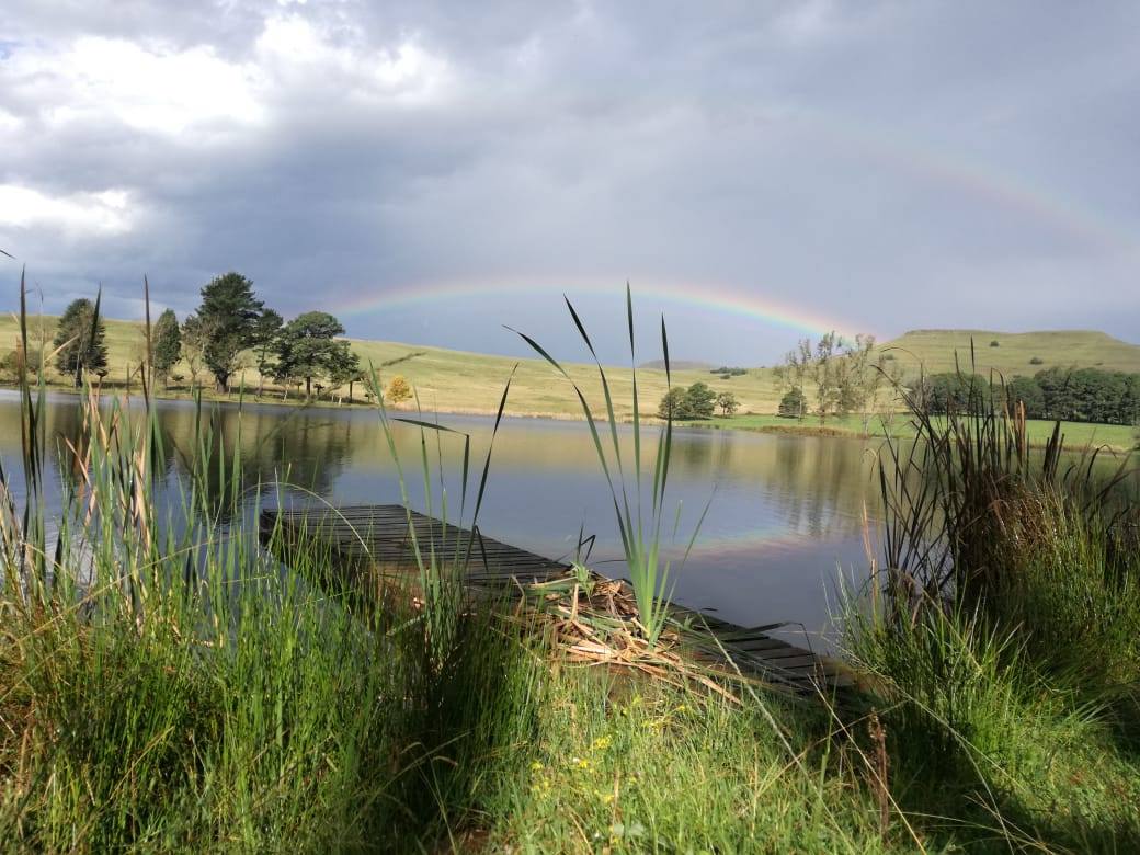 Farm for sale in Nottingham Road - P24-109745948