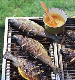Fish braai on weekends - Garden & Outdoor, Lifestyle