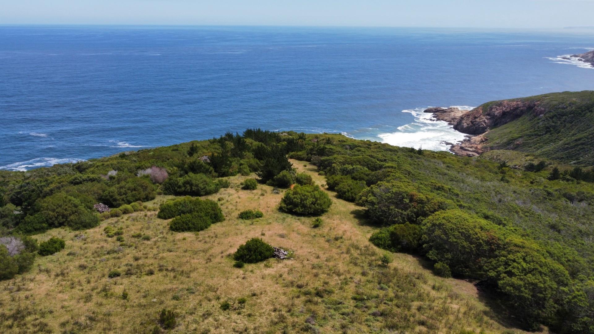 Farm for sale in George Rural - P24-110781534