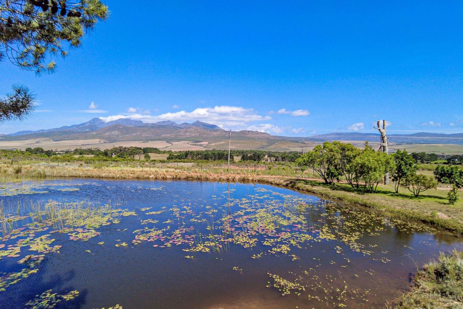 Farms for sale in Bot River : Bot River Property : Property24.com