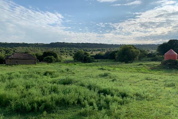 Senekal Rural Property : Property and houses for sale in Senekal Rural ...