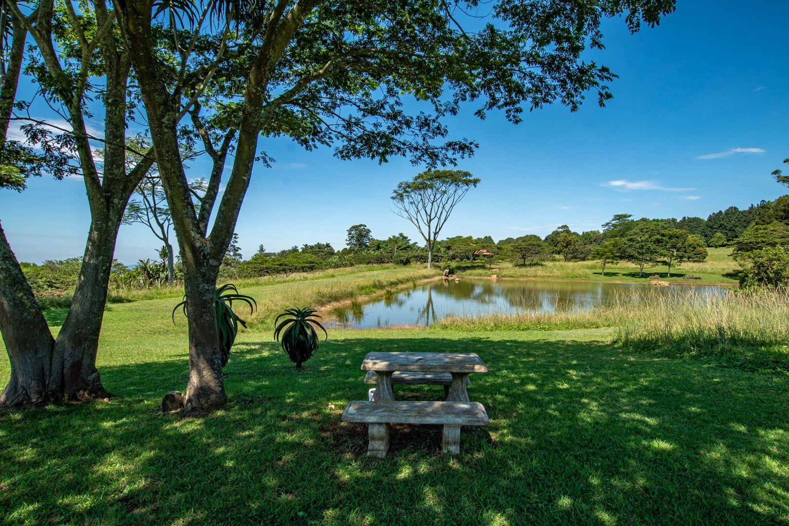 Alverstone Property : Vacant land / plots for sale in Alverstone ...