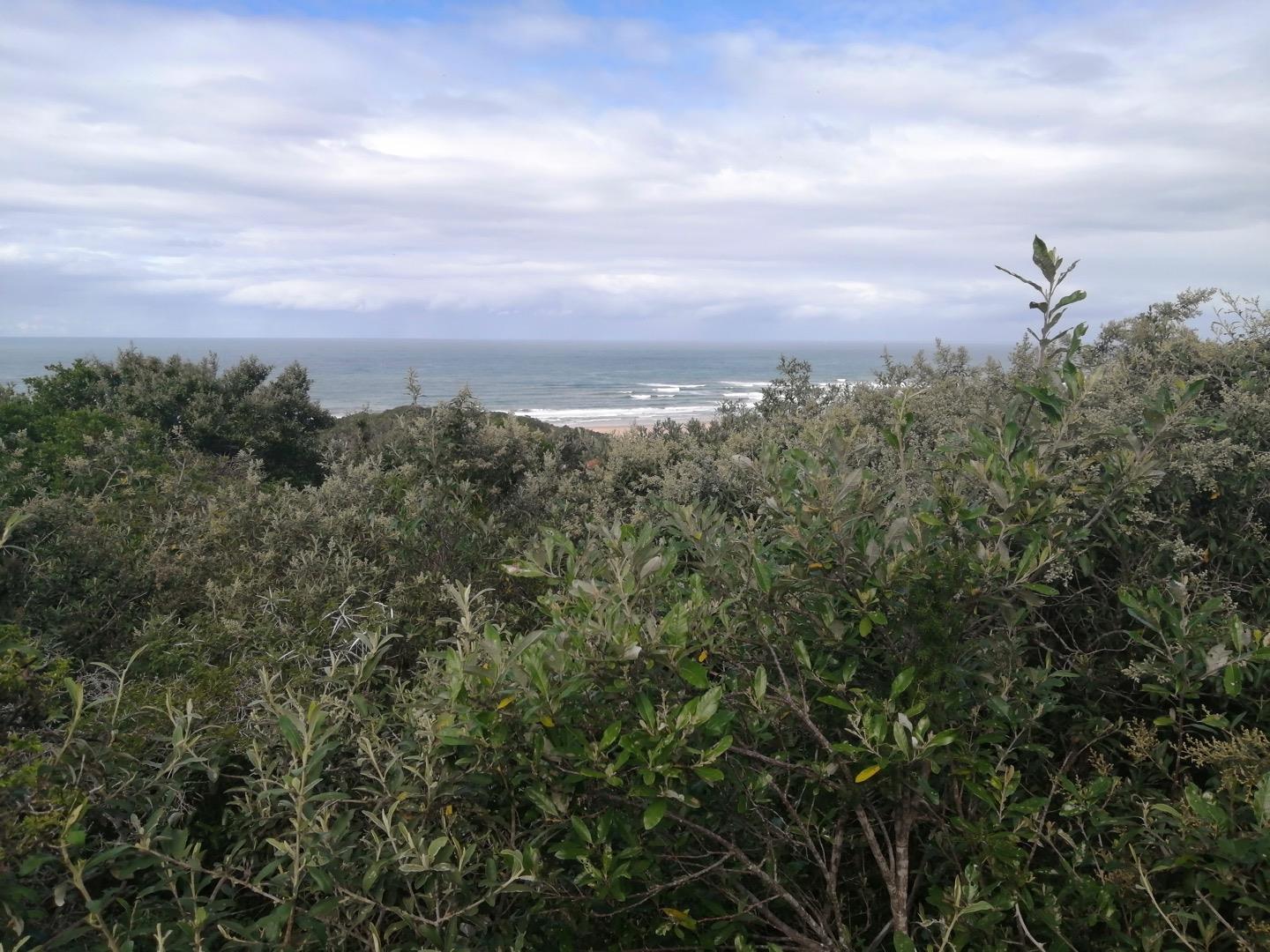 Vacant land / plot for sale in Begha - 48 Idada Way - P24-111173539