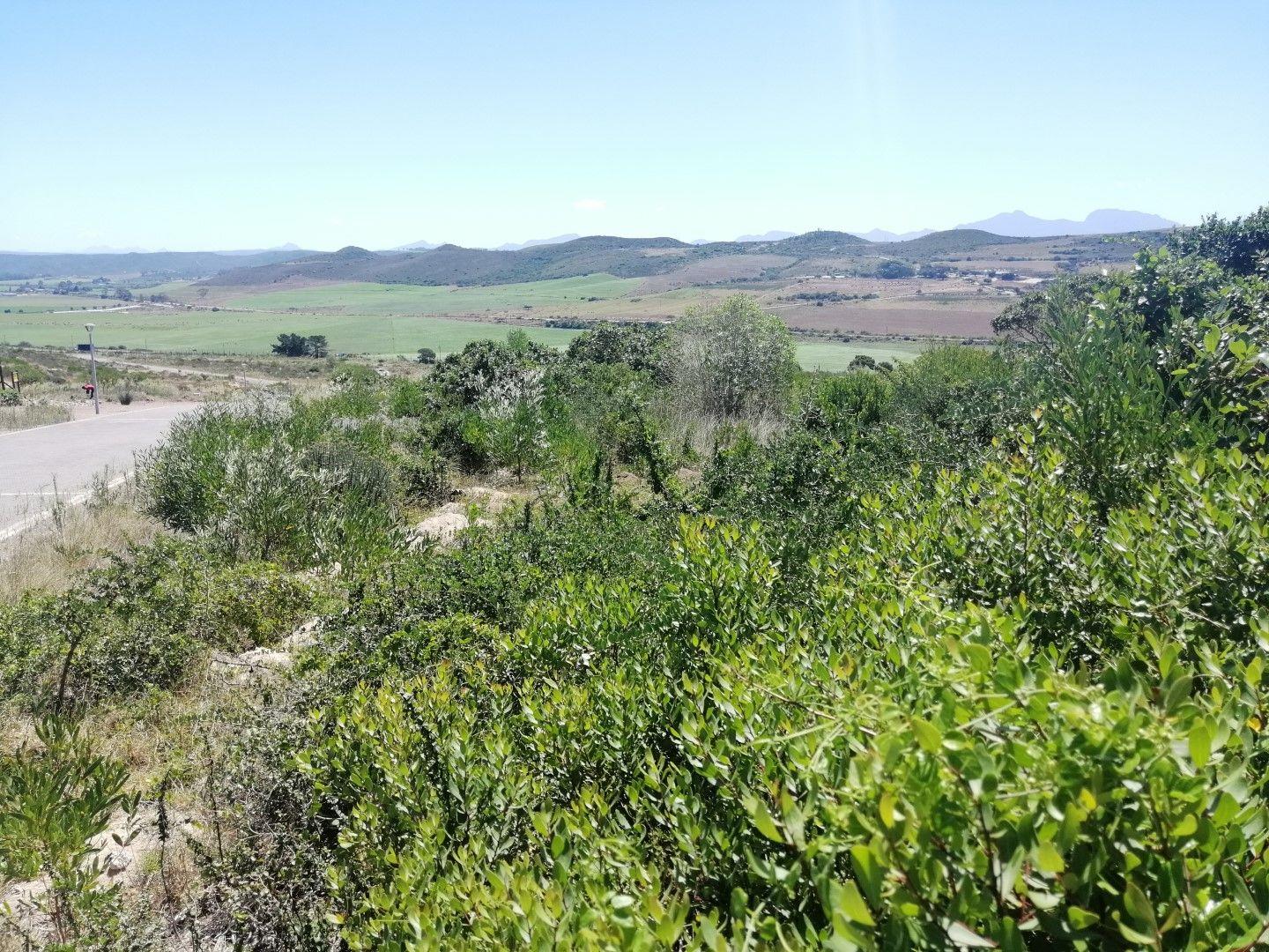 Vacant land / plot for sale in Reebok - 4 Seeleeu (rve) - P24-111282955