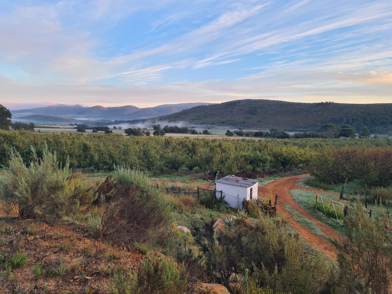 Farms for sale in Joubertina : Joubertina Property : Property24.com ...