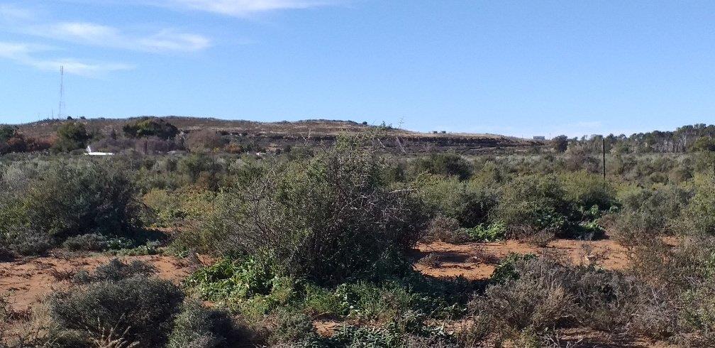 Vacant land / plot for sale in Loxton - 345 Simon Street - P24-111318217