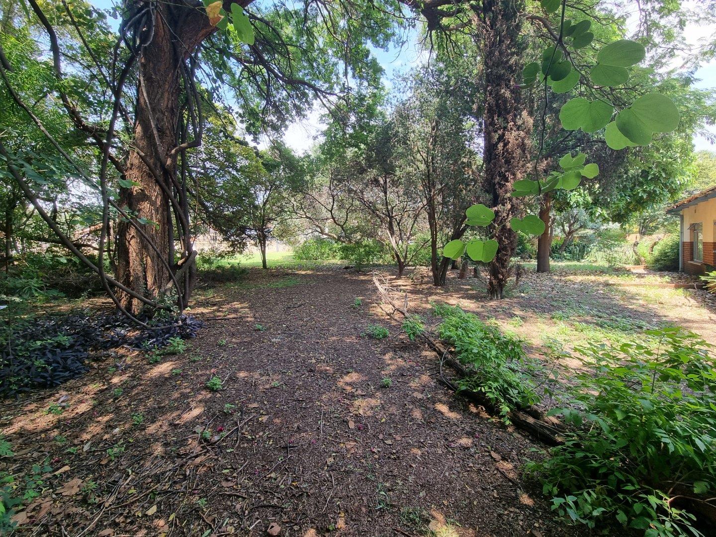 Vacant land / plot for sale in Amandasig - P24-111486897