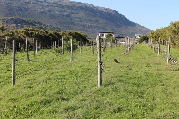 Sun Valley, Fish Hoek Property : Property and houses for sale in Sun ...