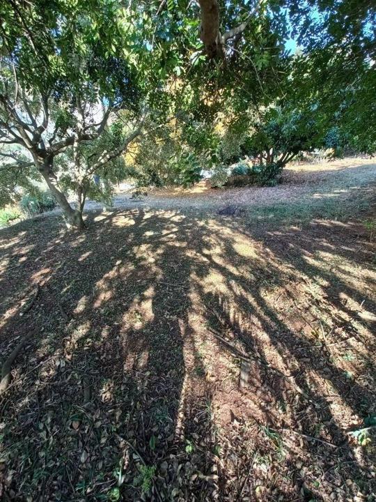 Vacant land / plot for sale in Barberton - P24-111663652