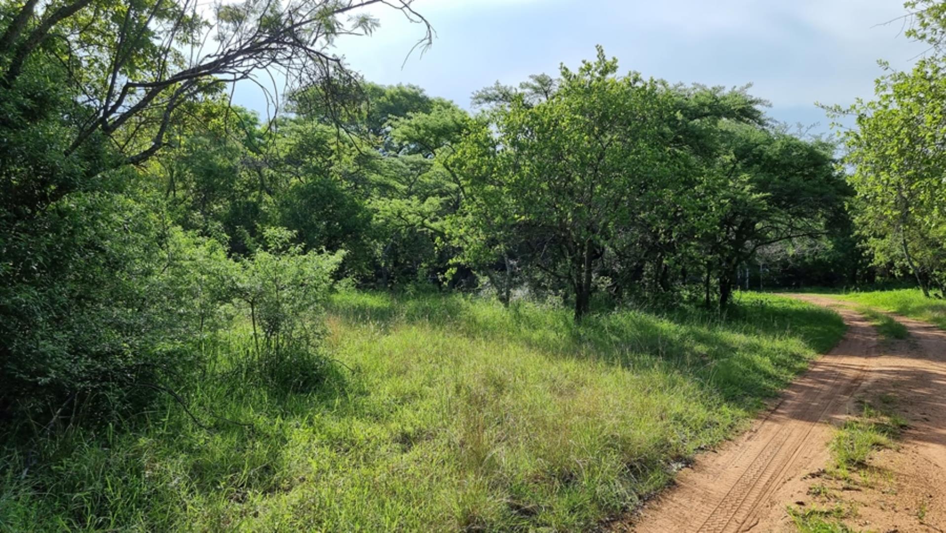 Property for sale in Limpopo : Farms for sale in Limpopo : Property24 ...