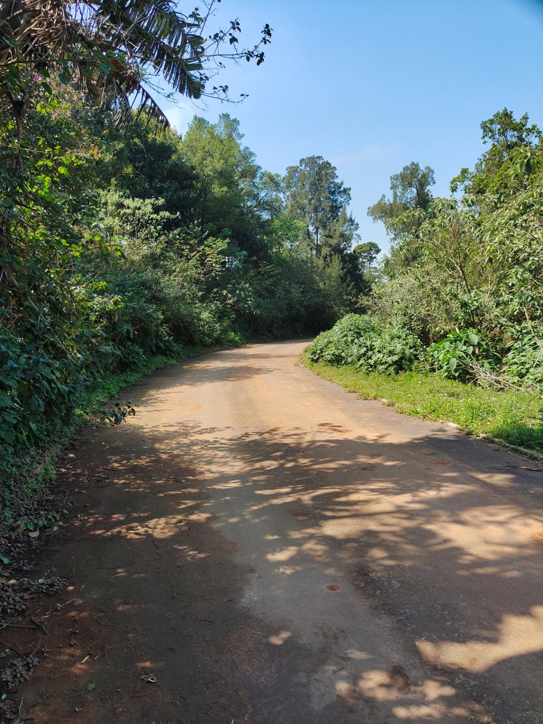 Vacant land / plot for sale in Assagay - P24-114132414