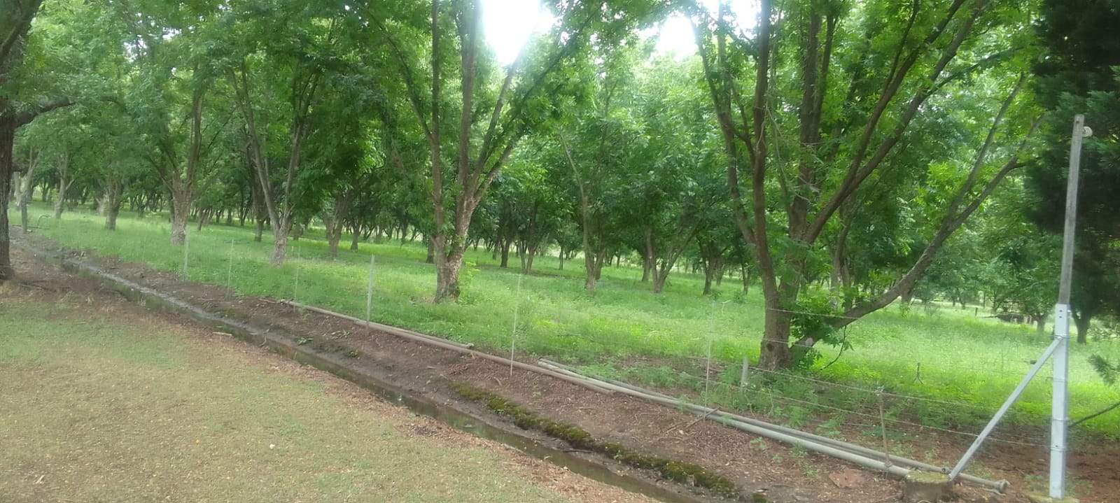 Farm for sale in Weenen - P24-112132604