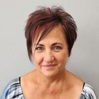 Houses for sale by Sarita Fouche