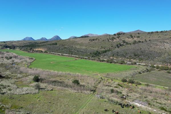 Property and houses for sale in Kareedouw : Kareedouw Property ...