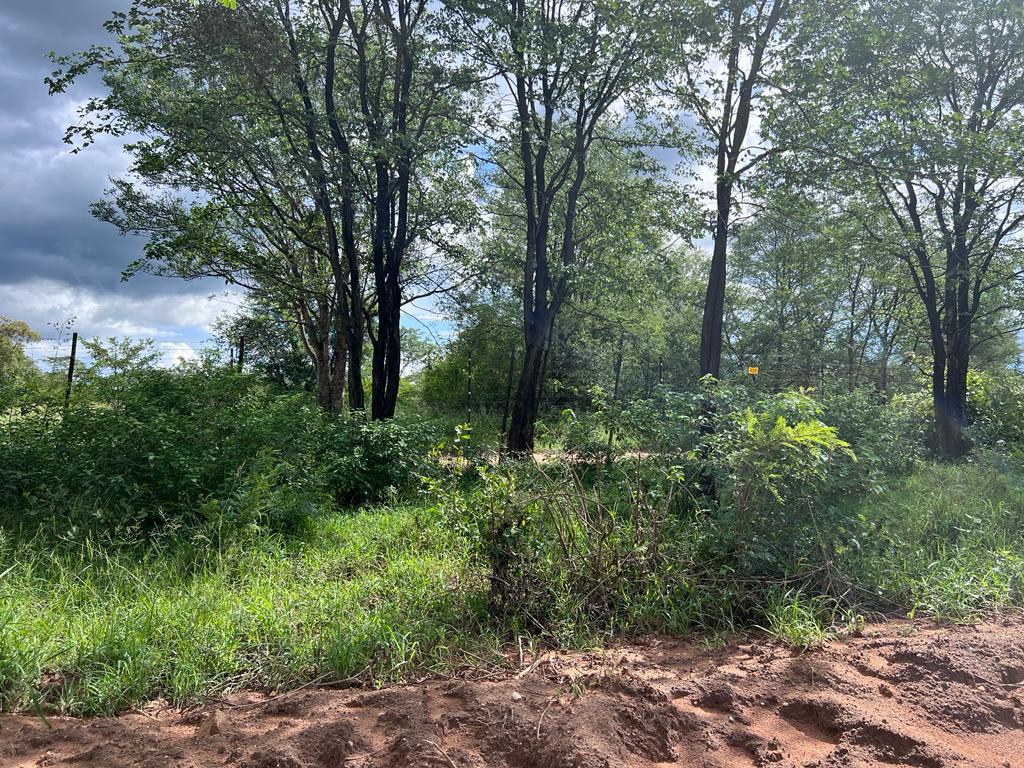 Farm for sale in Letsitele - P24-112653068