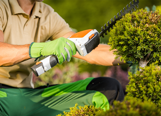 4 ways to storm-proof your home