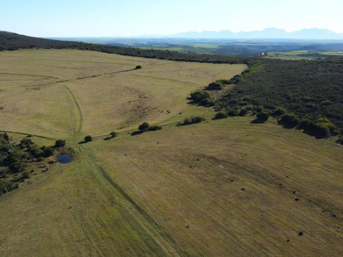 Farm for Sale in Mossel Bay Rural