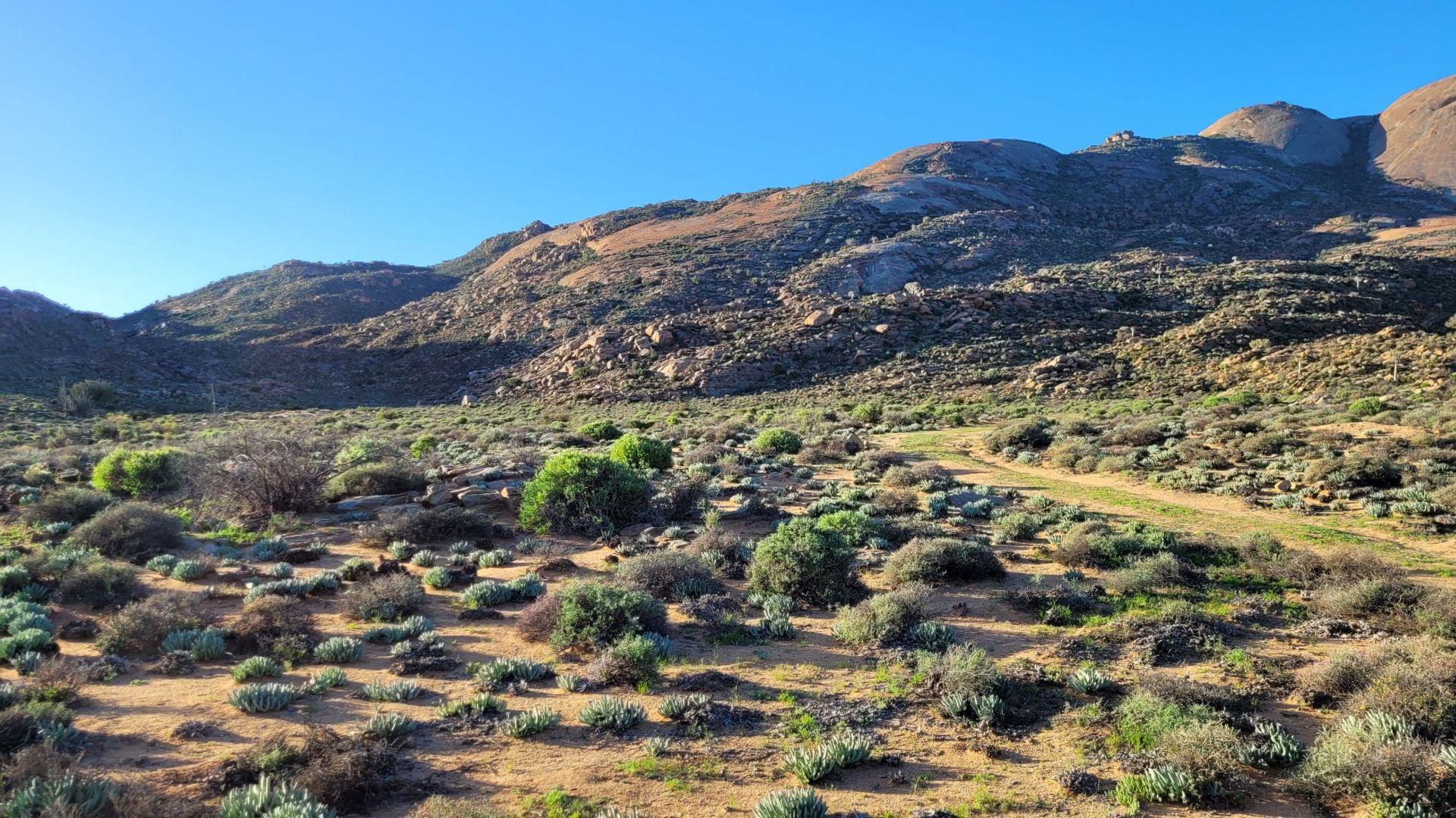 Farm for sale in Springbok - P24-113001670