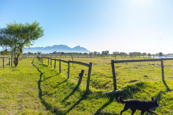 Schaapkraal Property : Farms for sale in Schaapkraal : Property24.com