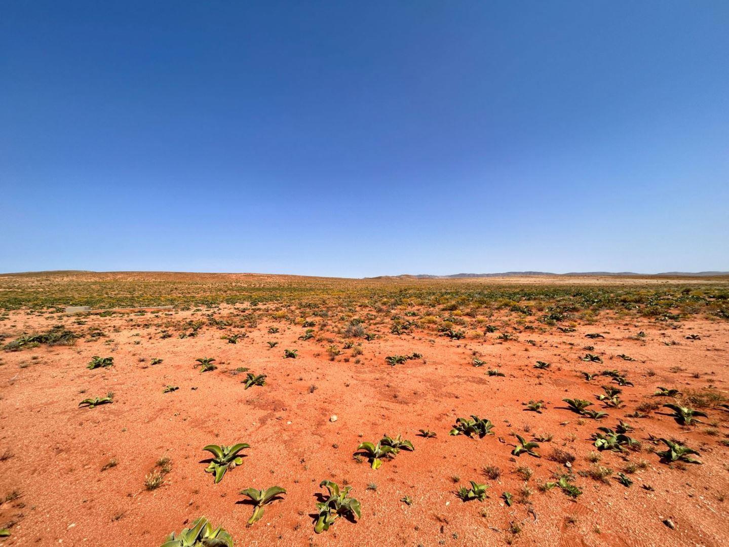 Farm for sale in Springbok - P24-113408262