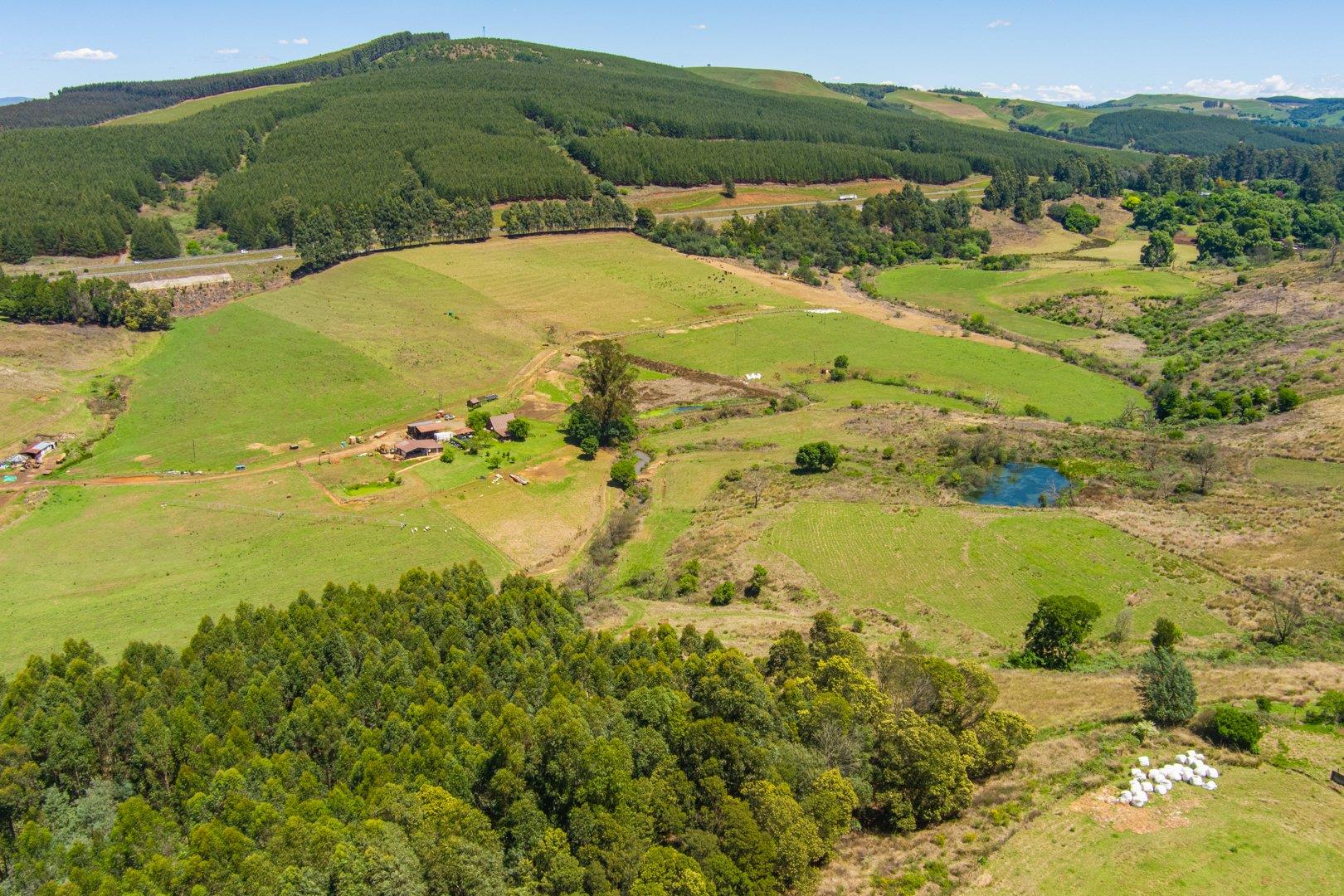 Farm for sale in Howick Rural - P24-113523533