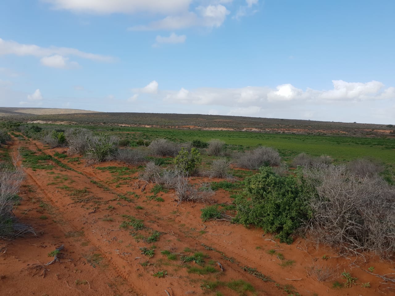 Property and houses for sale in Garies : Garies Property : Property24.com