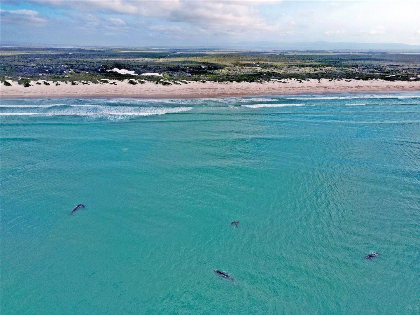 Vacant land / plot for sale in Struisbaai - Portion 13 Tsaba Tsaba ...