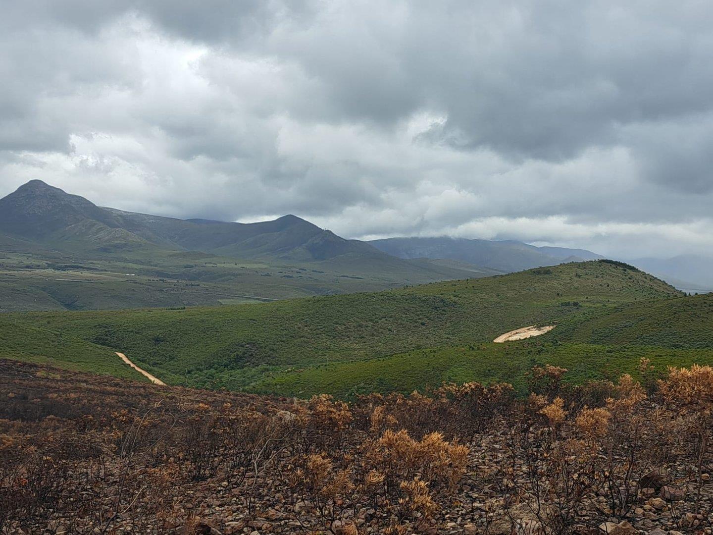 Property and houses for sale in Kareedouw : Kareedouw Property ...