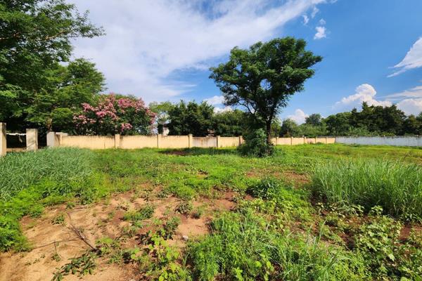 Dream Life Properties