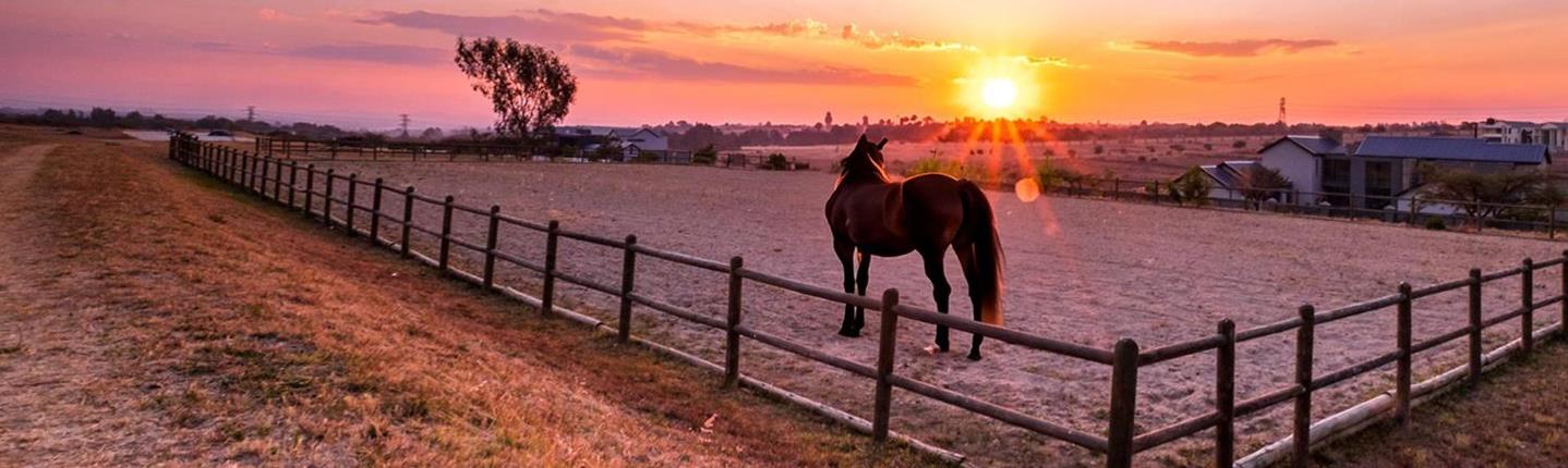 Blue Hills Country & Equestrian Estate, Blue Hills : New development ...