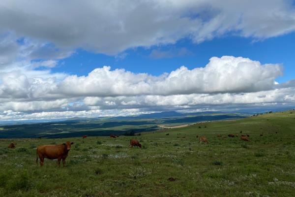 Property and houses for sale in Vryheid : Vryheid Property : Property24 ...