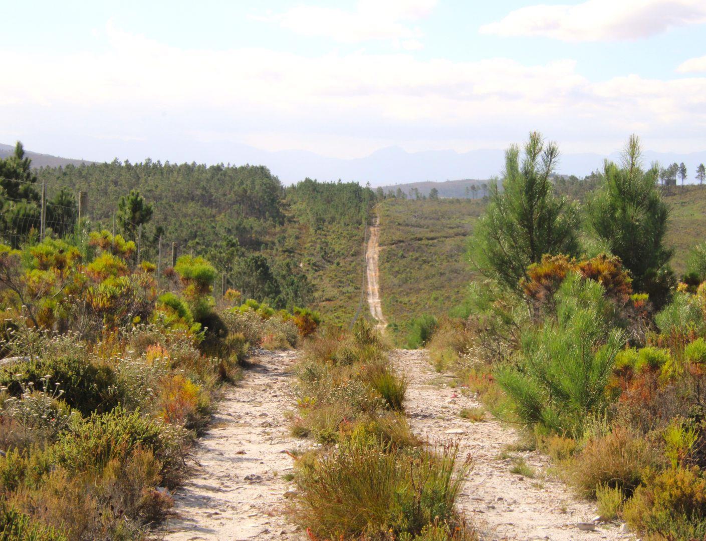 Property for sale in Western Cape : Farms for sale in Western Cape ...