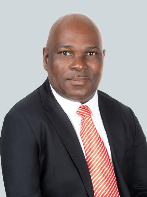 Agent profile for Nhlanhla Gumede