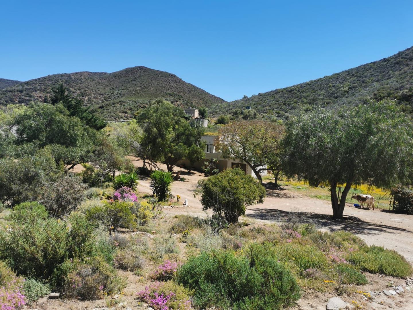 Farm for sale in Barrydale - P24-115161021