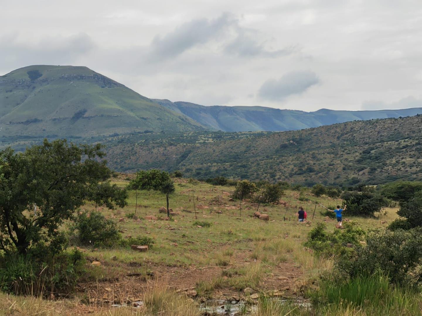 Property for sale in KwaZulu Natal : Farms for sale in KwaZulu Natal ...