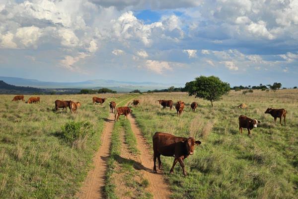 Property and houses for sale in Dundee : Dundee Property : Property24.com