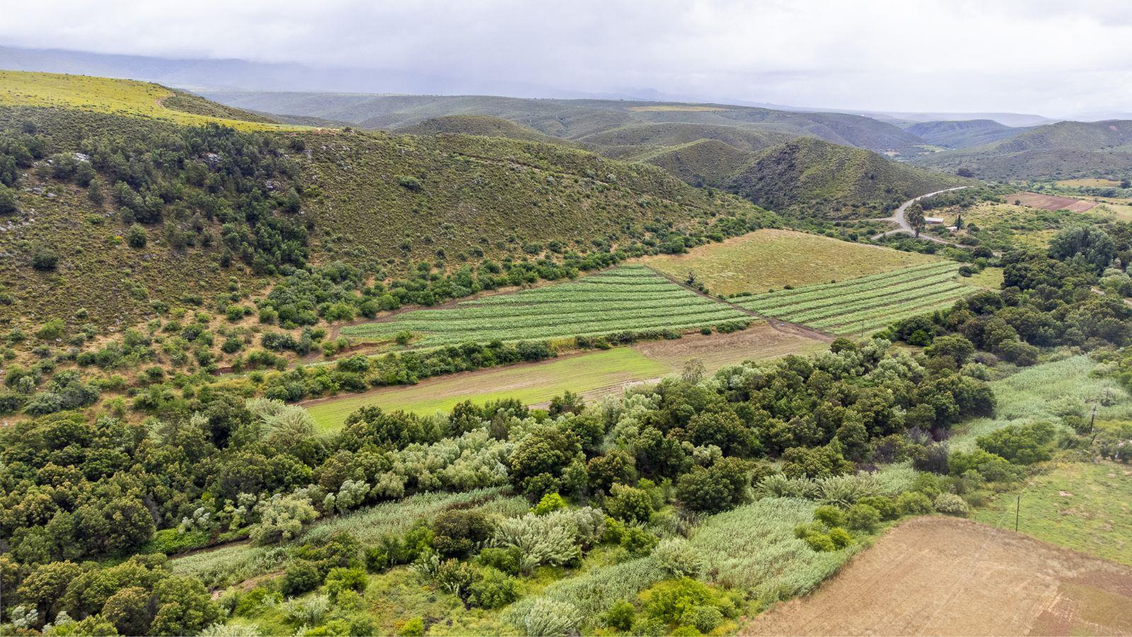 Farm for sale in George Rural - P24-115290879