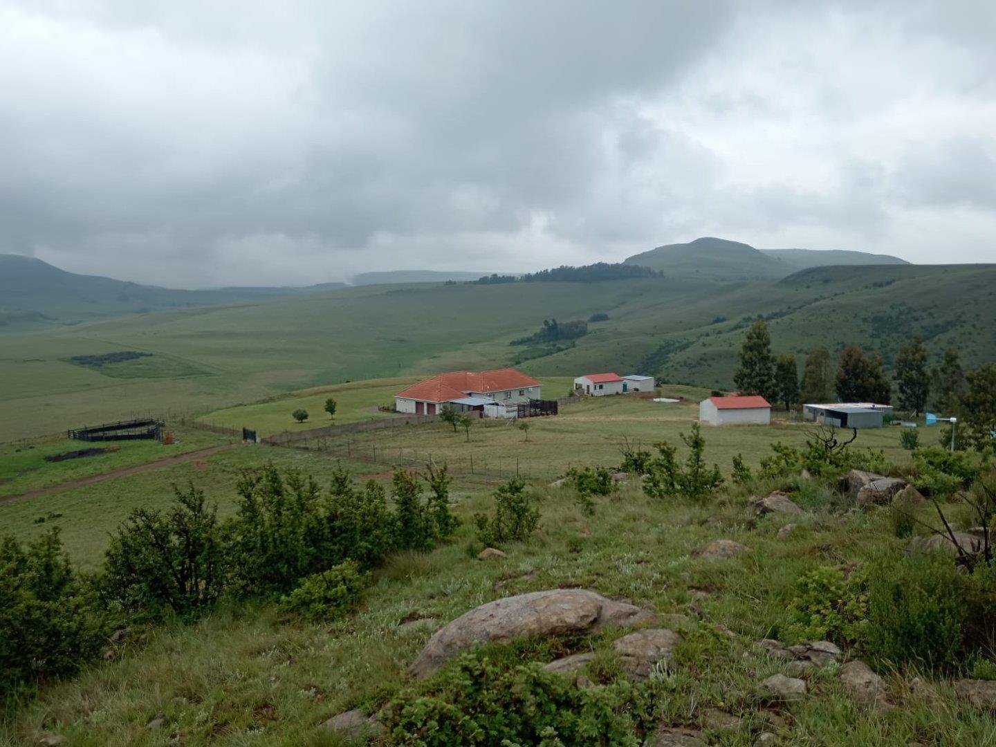 Memel Rural Property : Farms for sale in Memel Rural : Property24.com