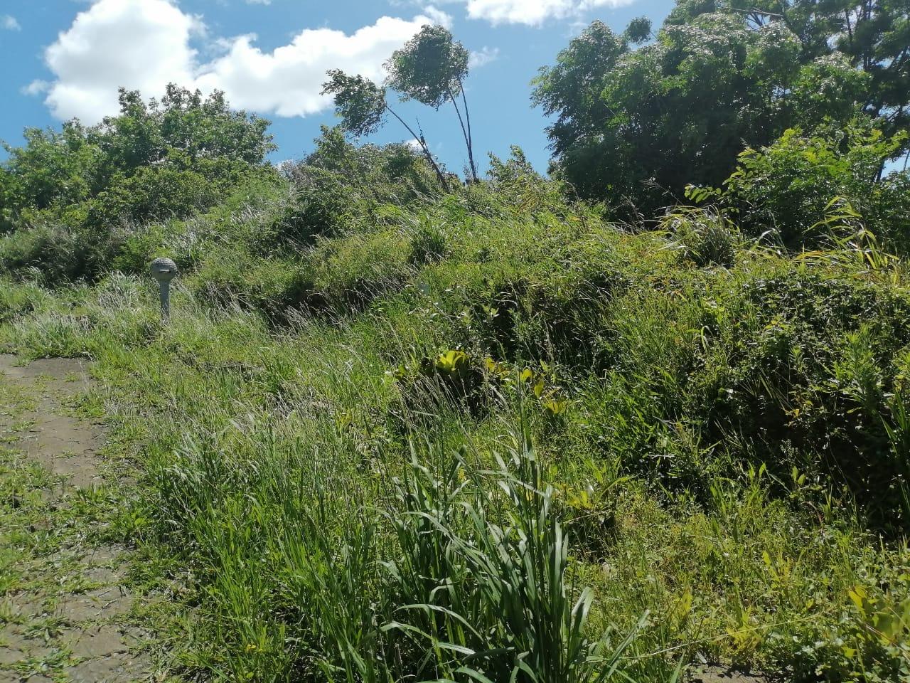 Vacant land / plot for sale in Isipingo Hills - P24-115304621