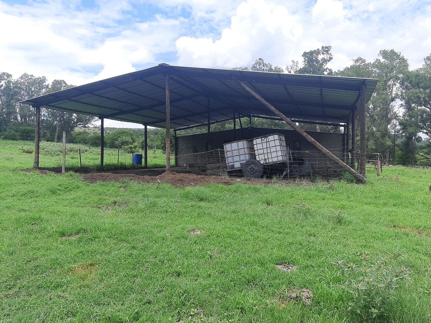 Farm for sale in Ingagane - P24-113097908